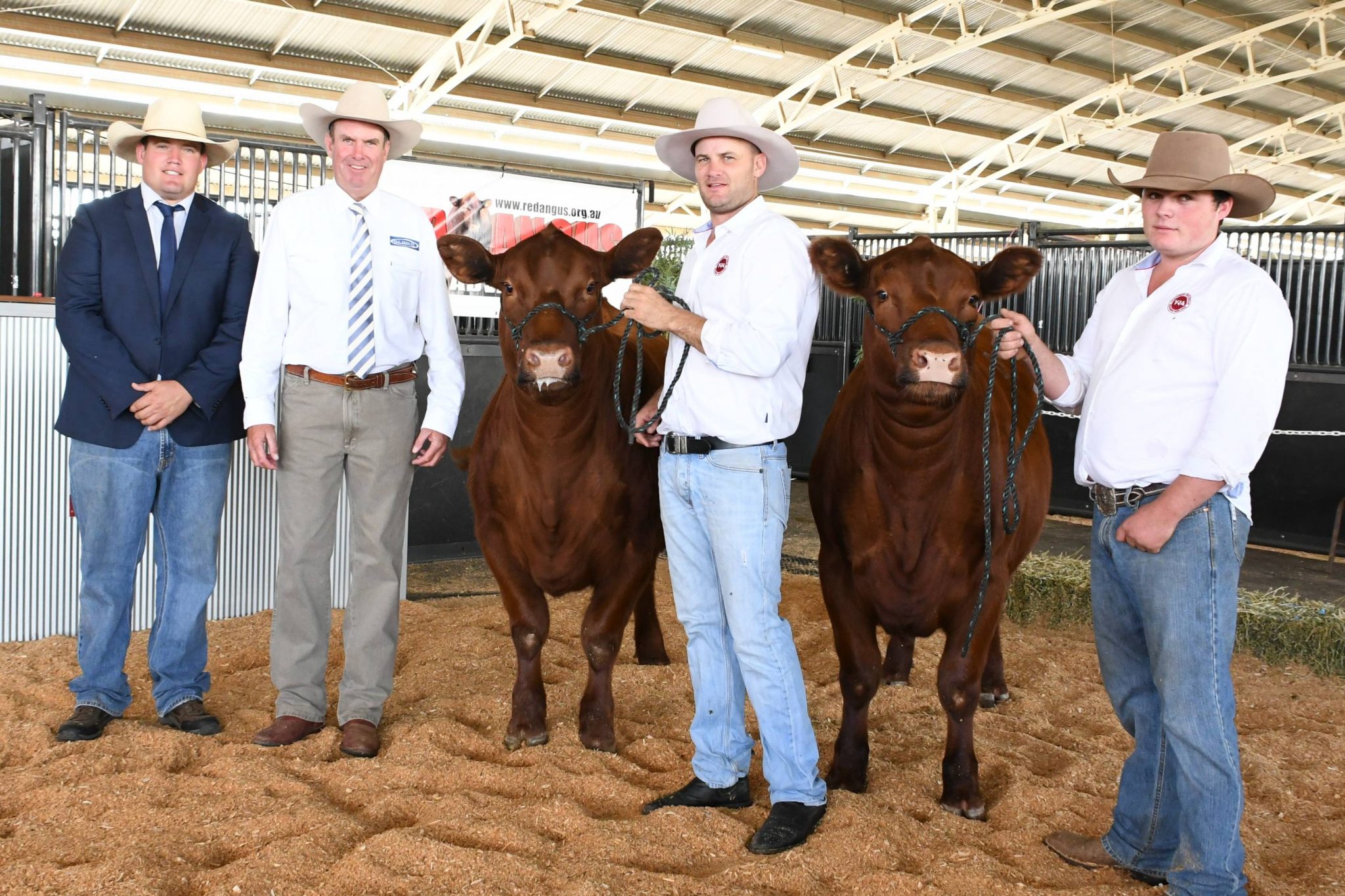 Red angus females shine in Red Reflections sale - Yallambee Angus | Red ...