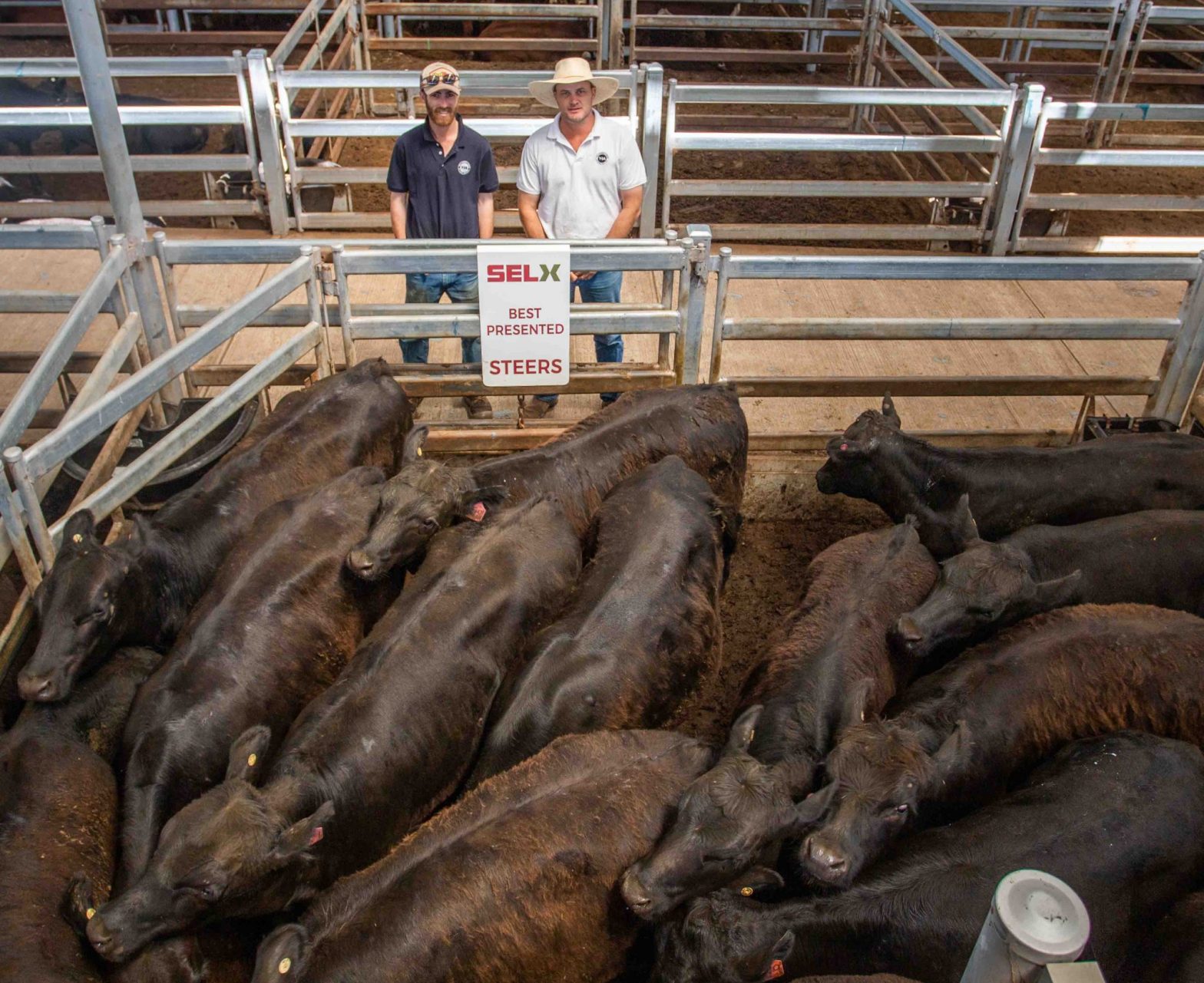 About us - Yallambee Angus | Red and Black Angus Stud | Southern ...